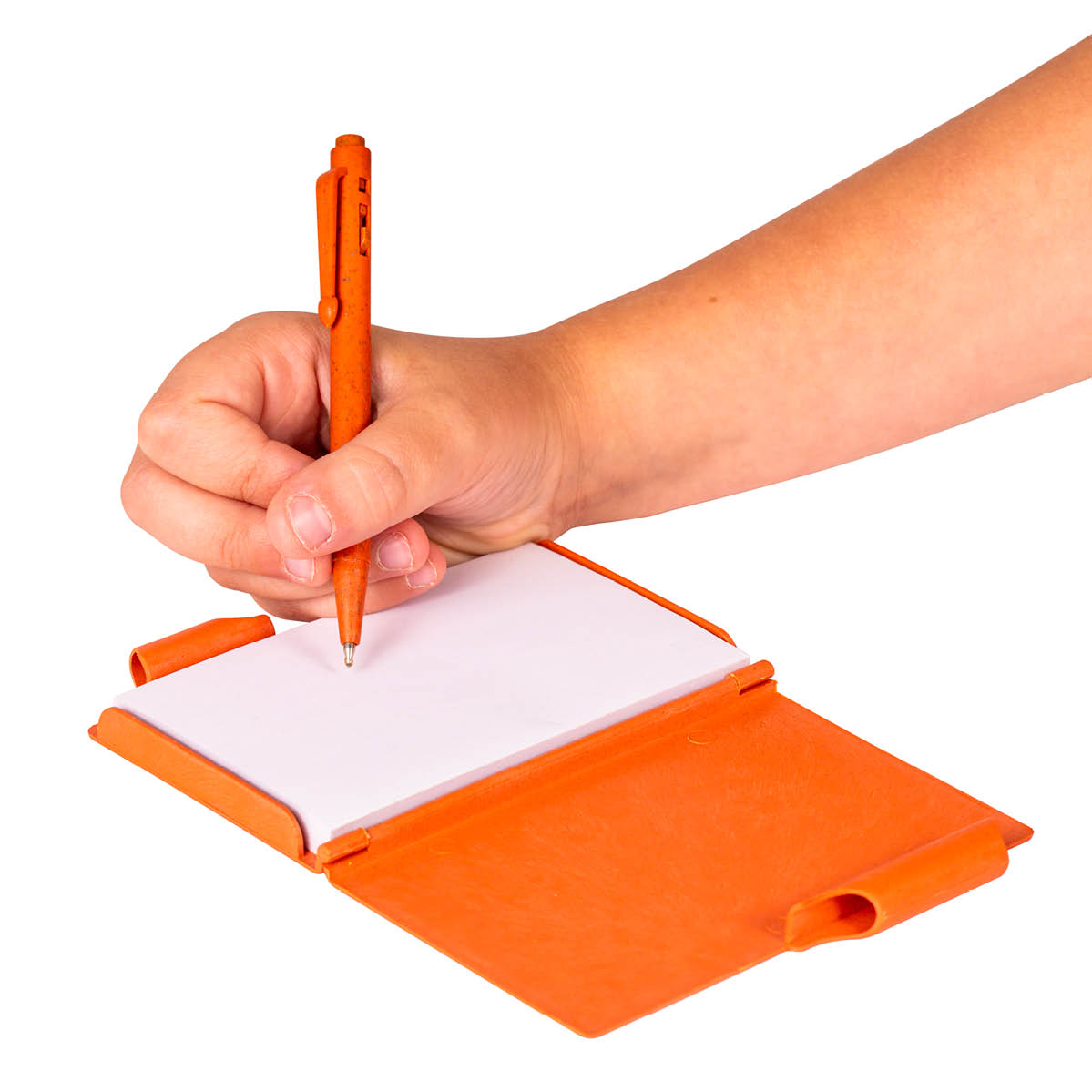 eco rigilock - BrandArt